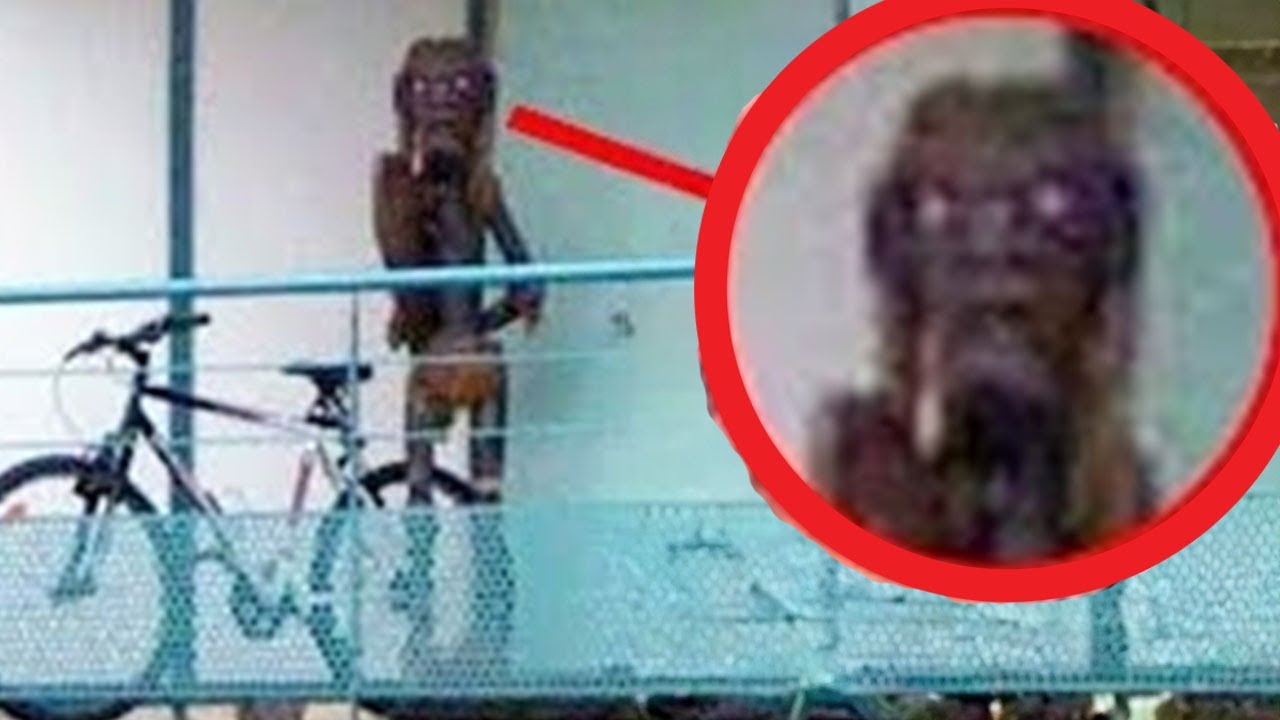 Disturbing Cryptids Walking The Earth That Could Be Aliens - YouTube