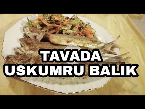 TAVADA USKUMRU BALIKÇOKLEZETLİ❓