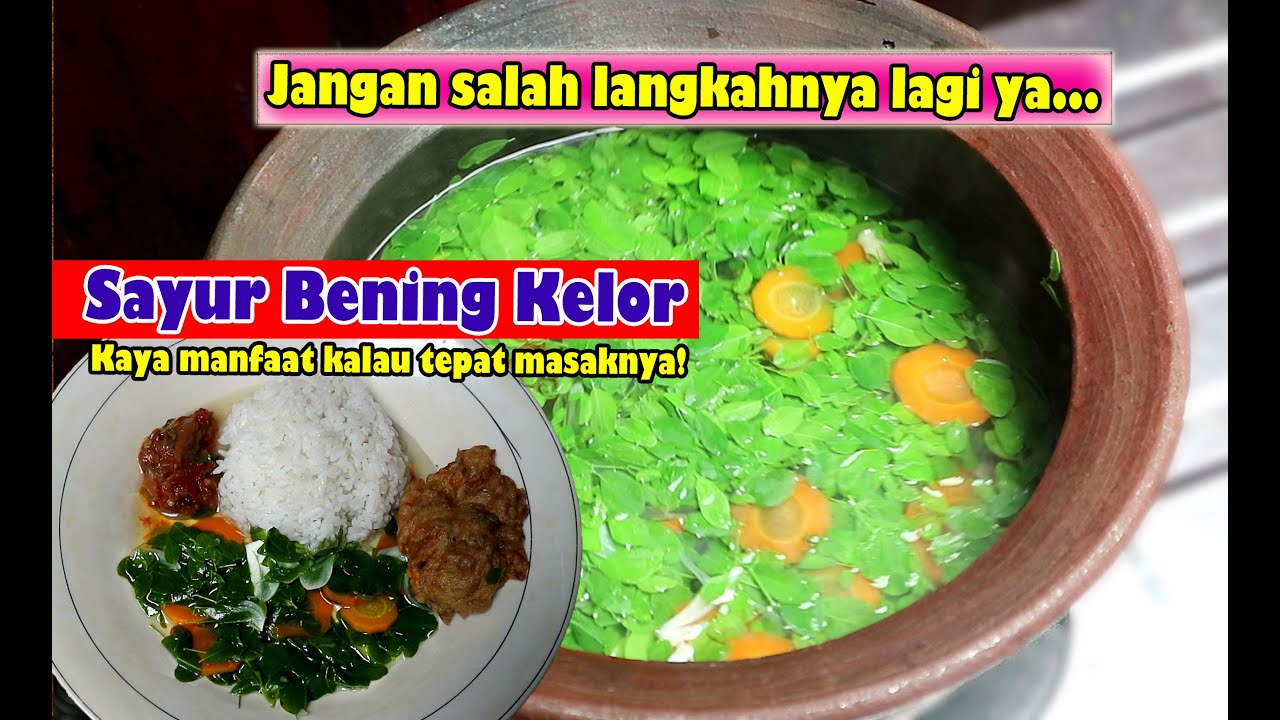 Ini Tahapan yang Tepat Masak Sayur Bening Daun Kelor ‖ Cara Masak Daun ...
