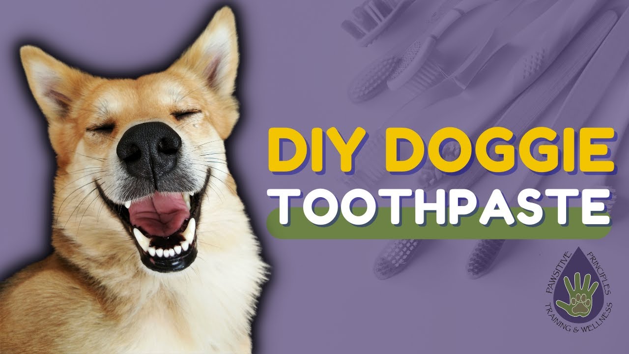 How To Make Dog Toothpaste | DIY Doggie Toothpaste - Quick Recipe ...
