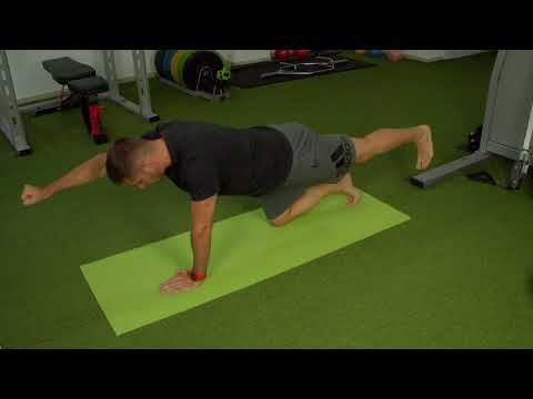 Bird Dog - Superman - Pointer - YouTube