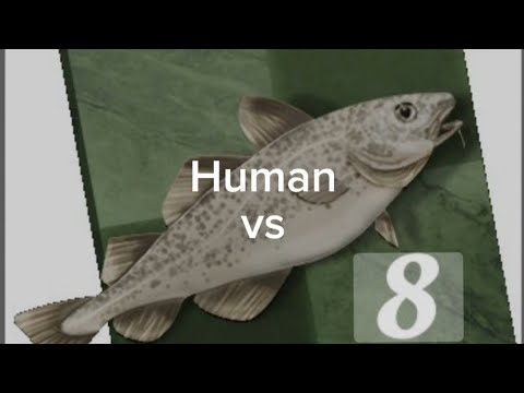 Stockfish 8 vs Human (2012):Trompowsky Attack Di Buat Hancur - YouTube