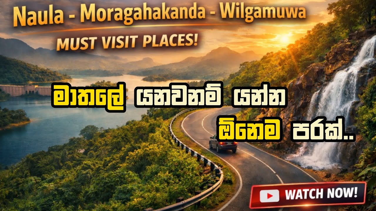 Peaceful Road Trip in Sri Lanka | Naula – Wilgamuwa Nature Drive # ...