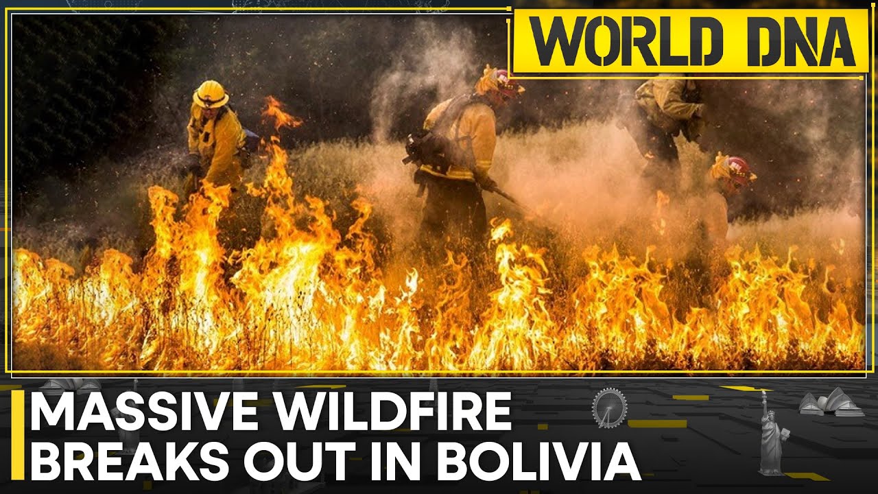 Bolivia: Fierce fire sweeps through protected forest | World DNA | WION ...