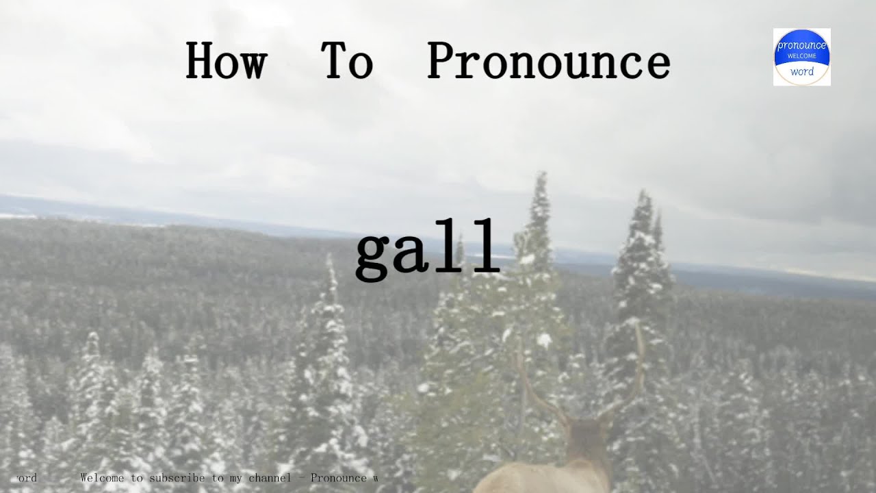 pronounce word. how to pronounce gall in english (correct!). - YouTube