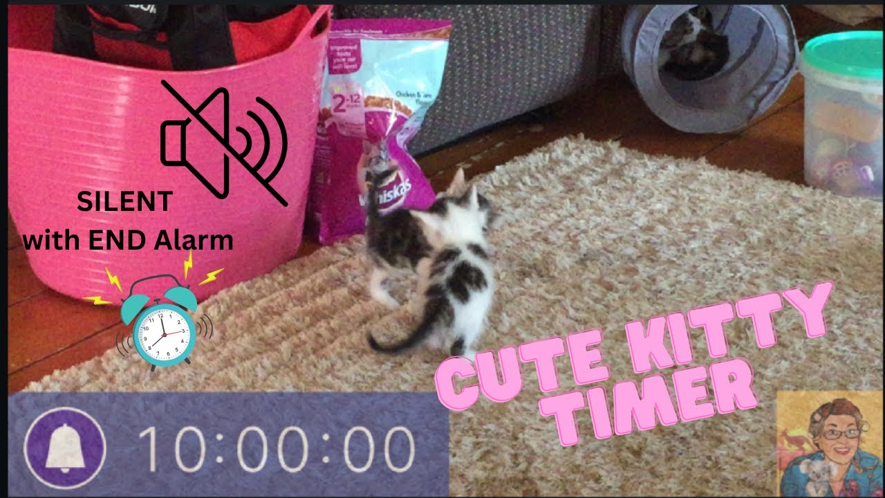 10 Minute Cute Cat Lovers Timer - Silent with Finish Alarm #timer ...
