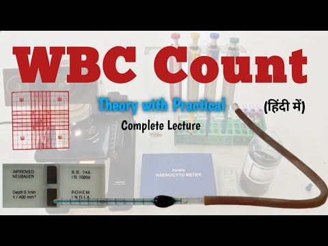 TLC || WBC Count || Complete Lecture with Practical by neubauer ...