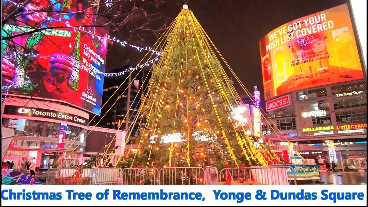 Christmas Tree of Remembrance, Yonge and Dundas Square, Toronto # ...