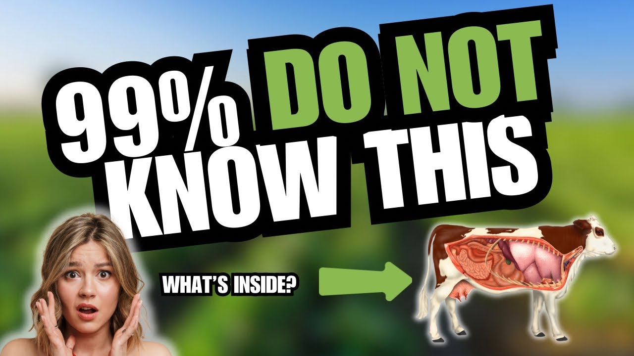 What’s Inside Your Meat? The Disturbing Truth - YouTube