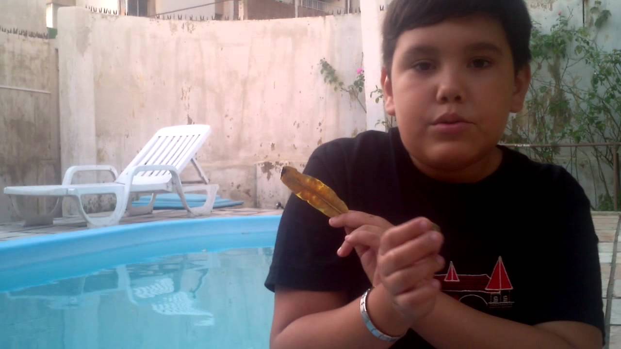 Vote em tia alba para veriadora - YouTube