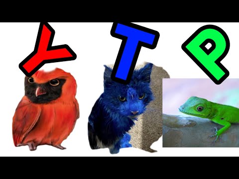 [YTP] PJ Masks Intro