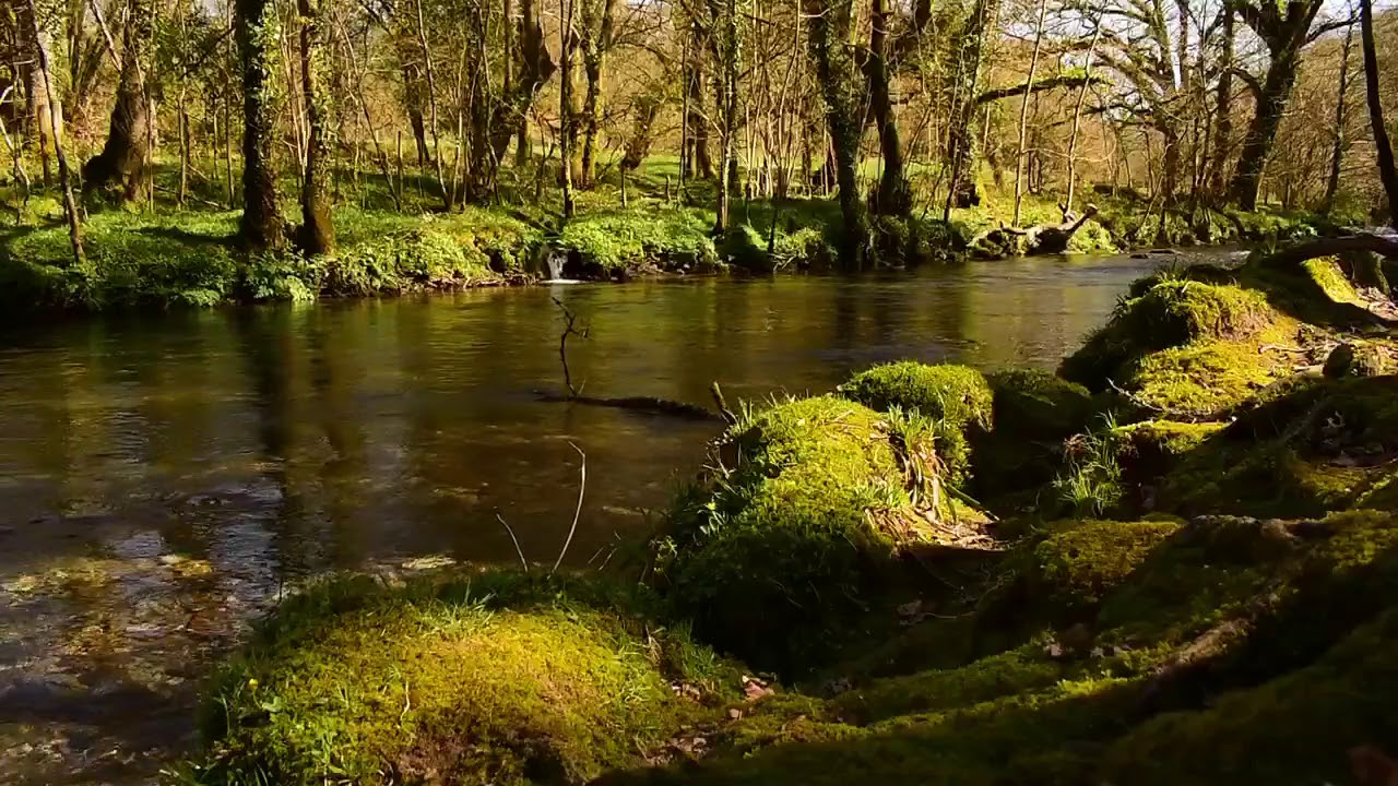 Beautiful lake in afternoon summer sunshine - YouTube