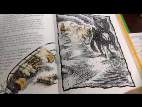 Balto, the Dog Who Saved Nome - YouTube