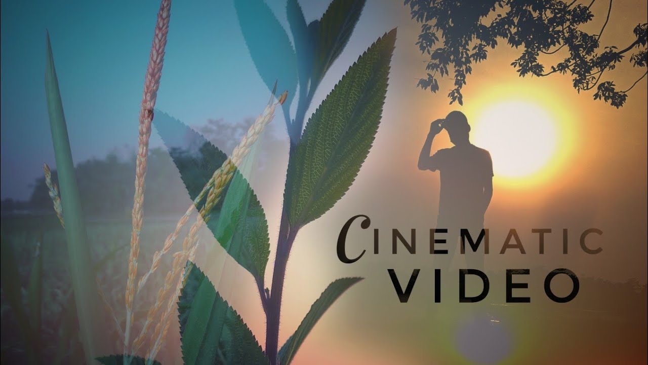 cinematic video cinematic video editing and beautiful view ️😍 - YouTube
