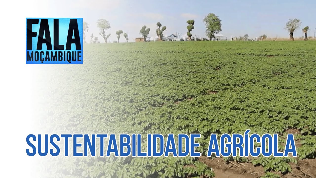 Governo do Distrito de Tsangano em Tete encoraja camponeses a aderir ...