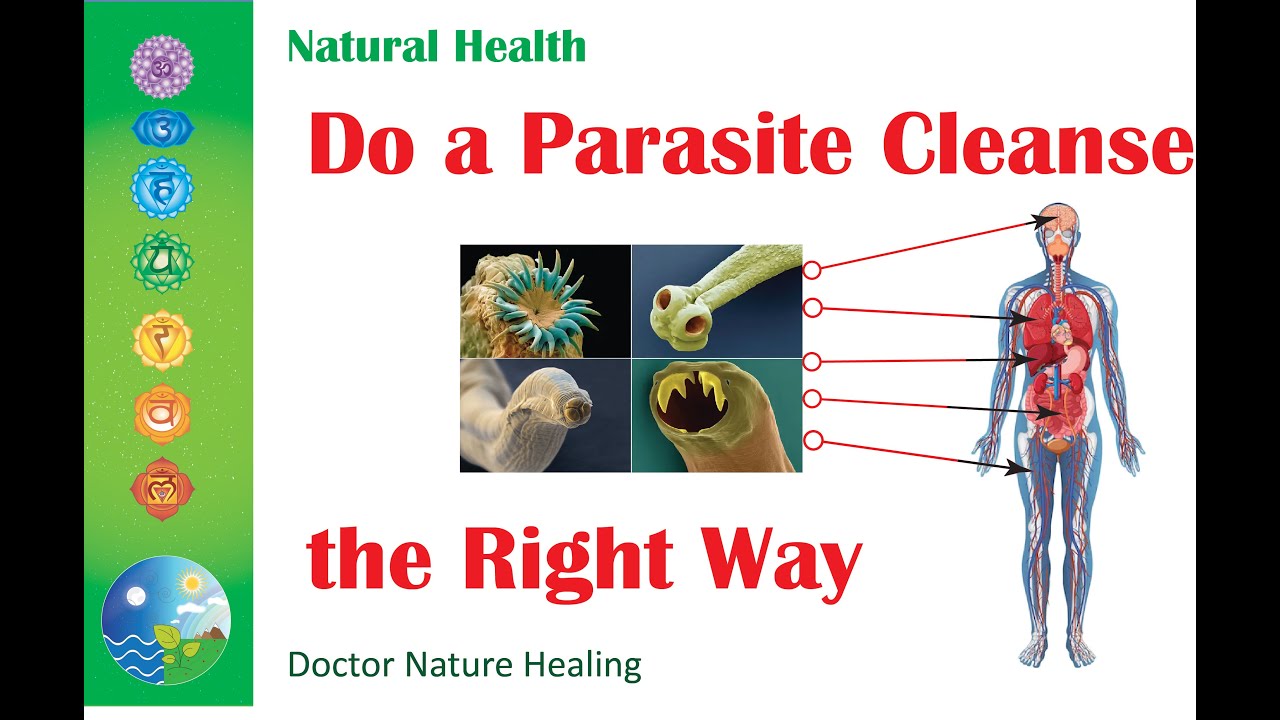 The Hidden Benefits of Doing a Parasite Cleanse the Right Way - YouTube