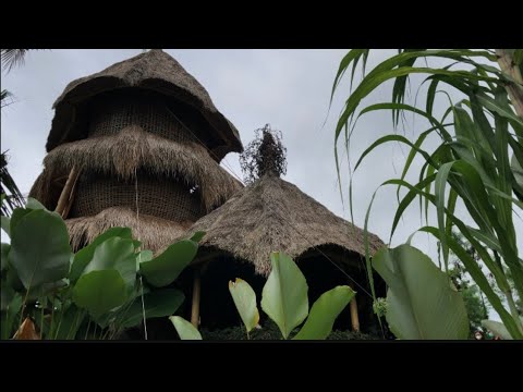 Penginapan unik di Bali | Firefly eco lodge Ubud - YouTube