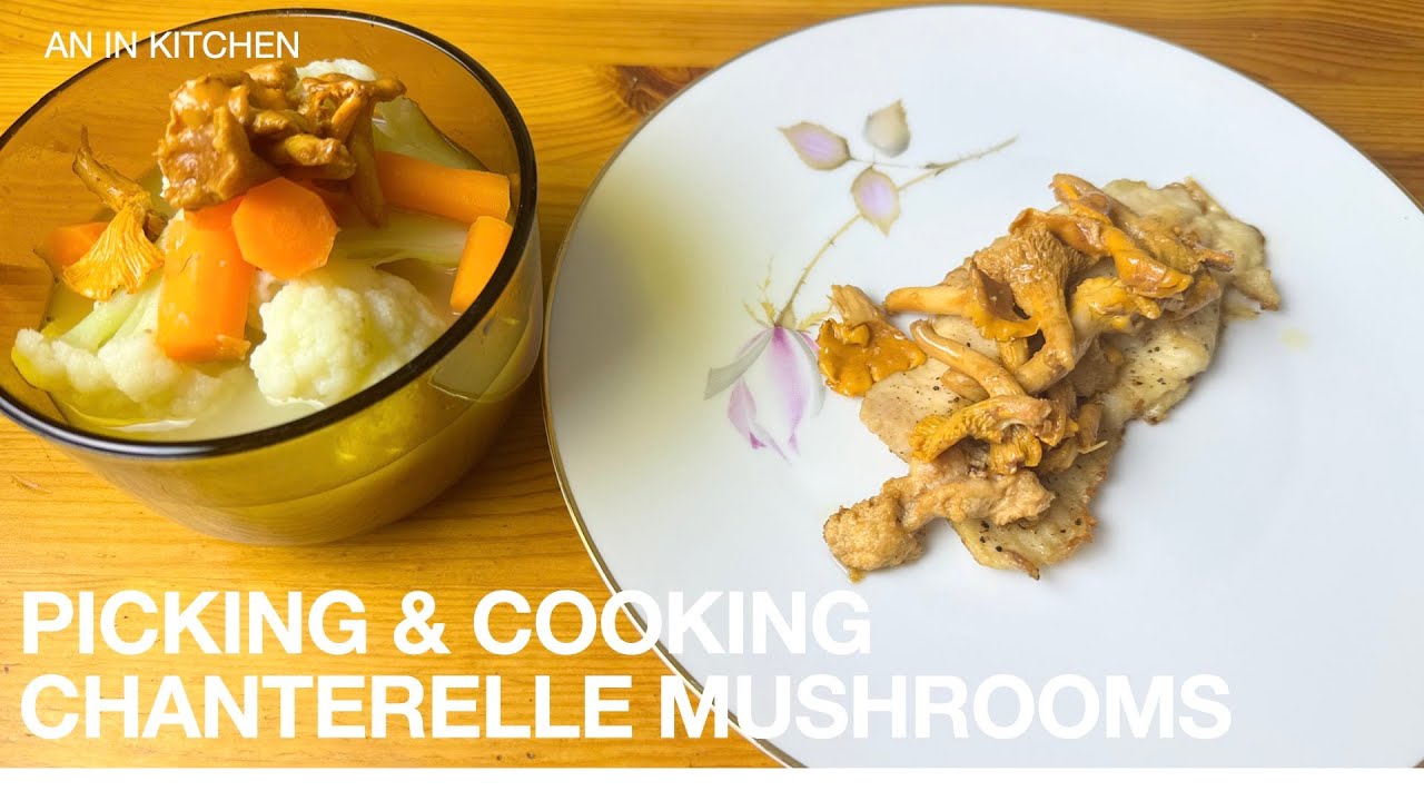 PICKING AND COOKING CHANTERELLE MUSHROOMS - YouTube