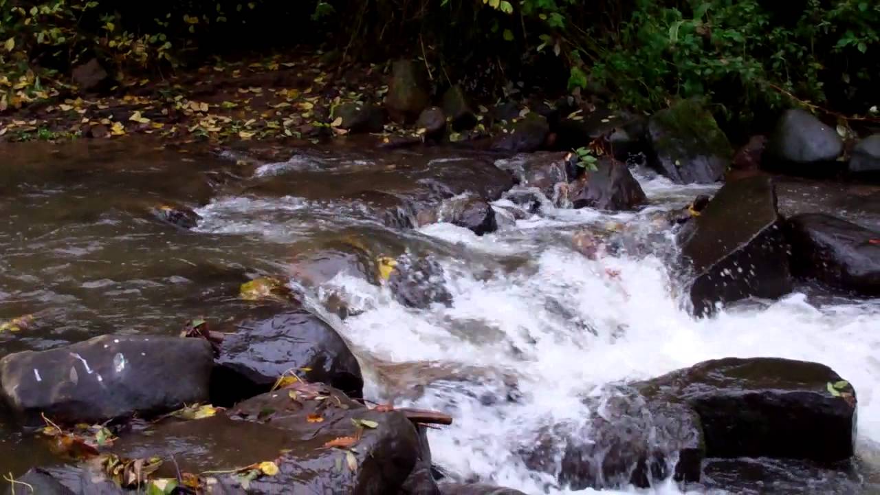 Stream Quarrymill Woodland Park Perth Perthshire Scotland October 23rd ...
