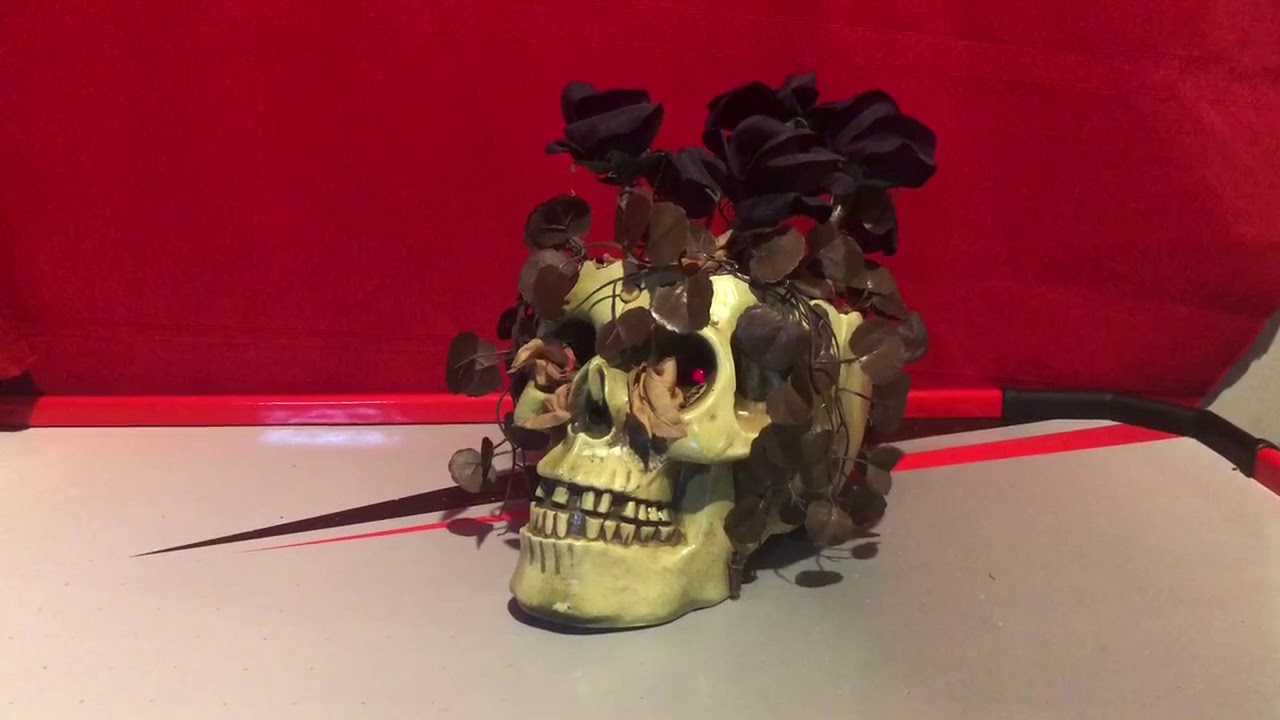 (Gemmy) Halloween 2000 Dancing Flowers in Skull - YouTube