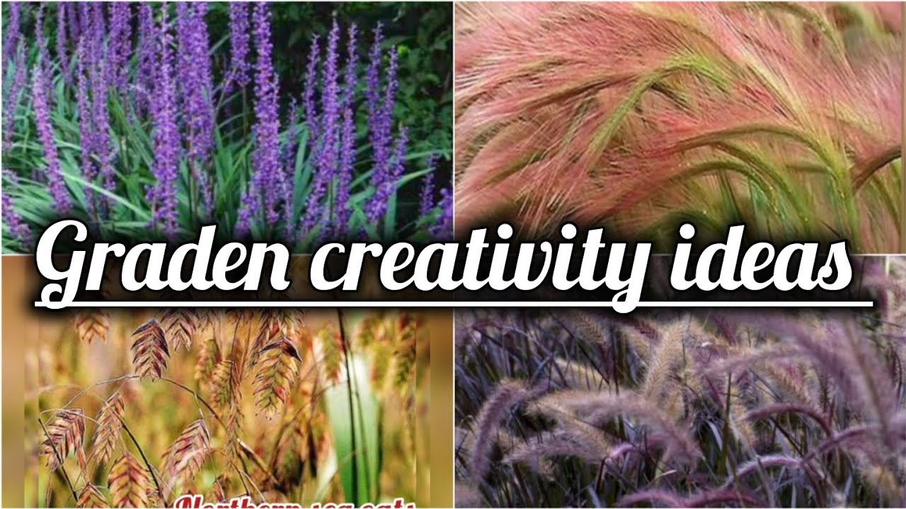 Types Of Ornamental Grass / Graden creativity ideas /perennial ...