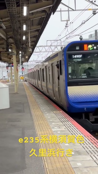 e235系1000番台久里浜行き#e235系1000番台 #横須賀色 #千葉駅 #スカレンジ #総武快速線 - YouTube