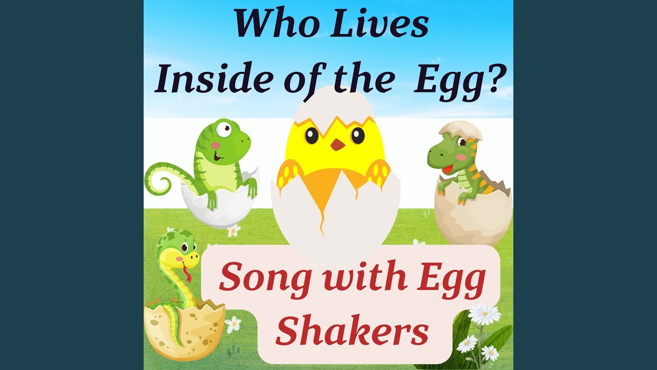 Who Lives Inside of the Egg? (Song With Egg Shakers) - YouTube