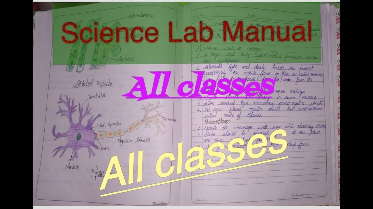 Science Lab manual|Science lab manual class 9all answers (CBSE) - YouTube