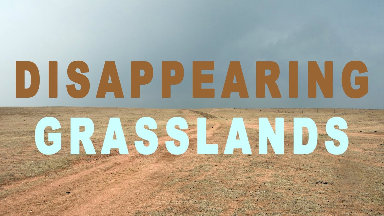 China’s Vanishing Grasslands 🌾 Why Desertification is Spreading - YouTube