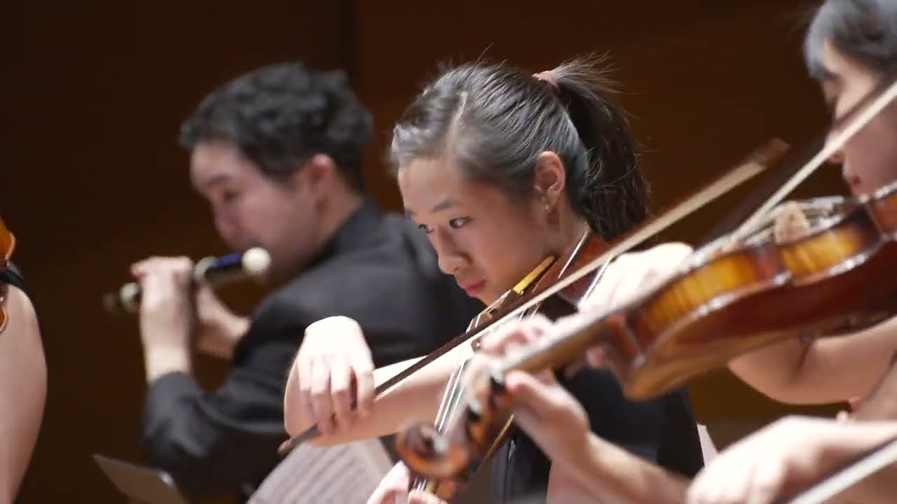 LULLY Passacaille from "Armide" | RED DOT BAROQUE - YouTube