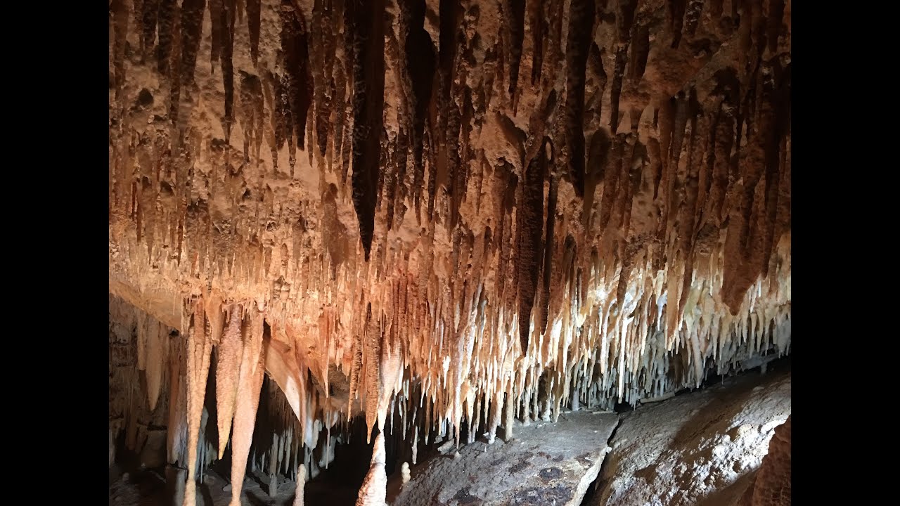 Jenolan Caves-Lucas cave guided tour #Jenolan caves, #Bluemountains, # ...