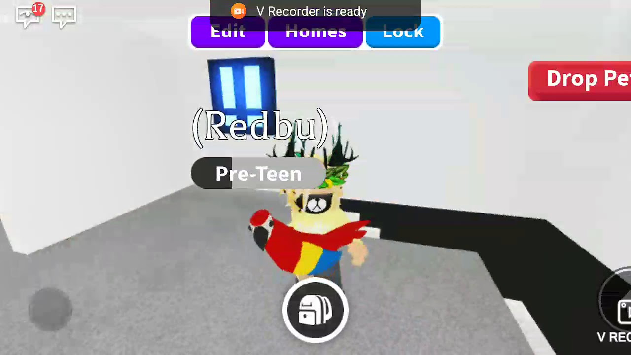 Hatching Jungle Egg & I GOT THE PARROT !! |adopt me roblox - YouTube