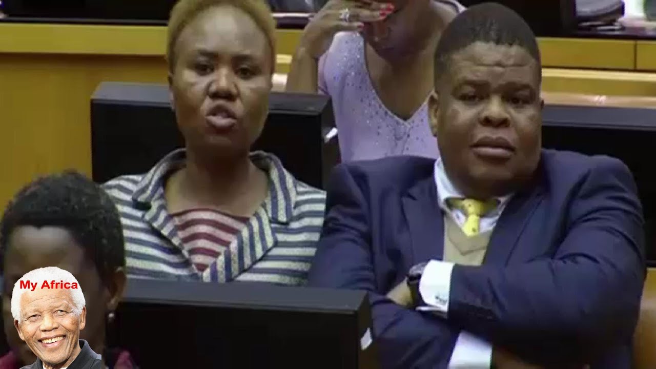 EFF Godrich Gardee Talking Nonsense - ANC MP Lindiwe Zulu - YouTube