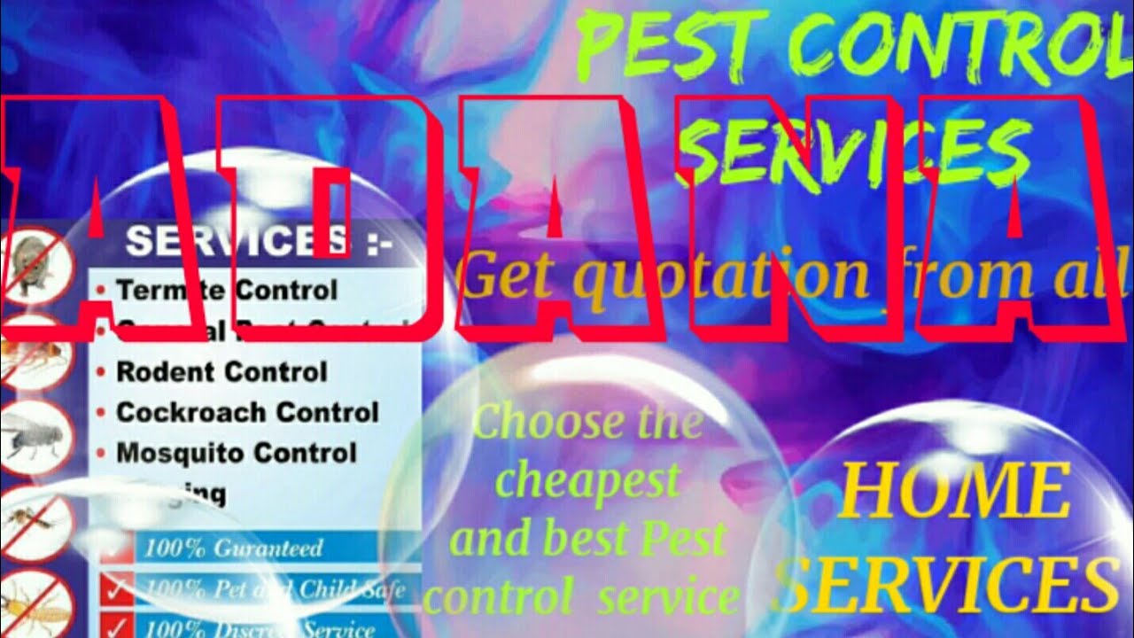 ADANA Pest Control Services 》Technician Service at your home ☆Bed Bugs ...