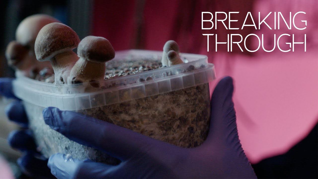 Breaking Through, Trailer - YouTube