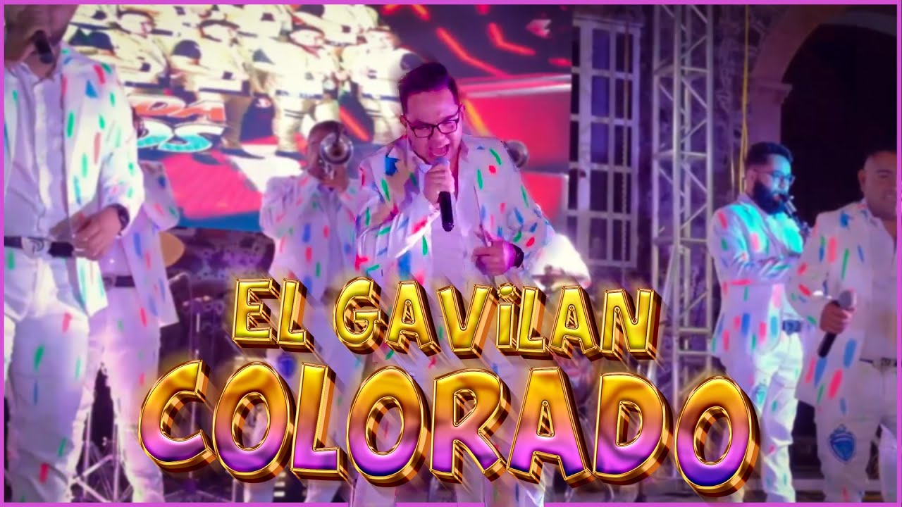El Gavilán Colorado - Banda Pitufos - YouTube