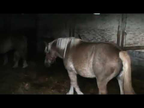 Pokazuje wam #kononowicz #major #suchodolski #us17 #szkolna17 #knur - YouTube