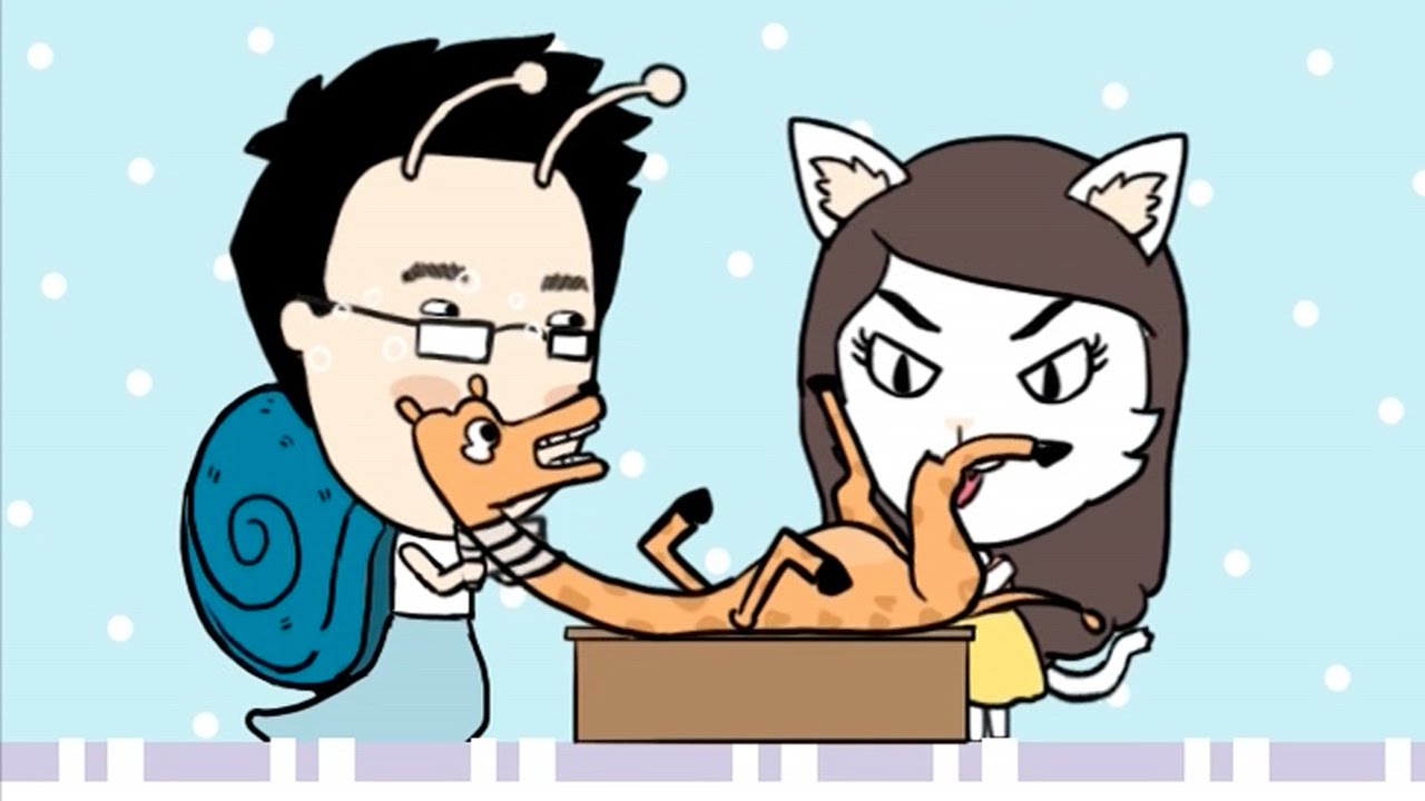 Wedding Presentation "Poo & Pea" by Lovecrub - YouTube