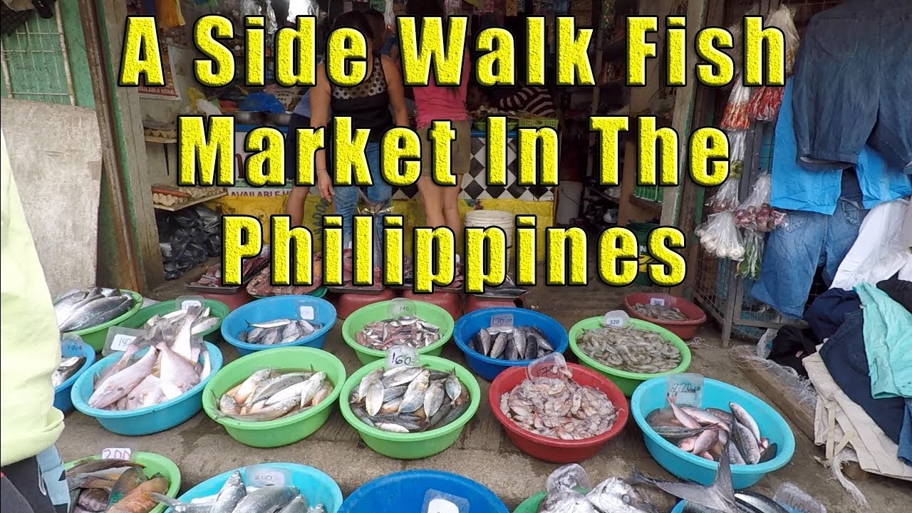 A Side Walk Fish Market, In The Philippines. - YouTube