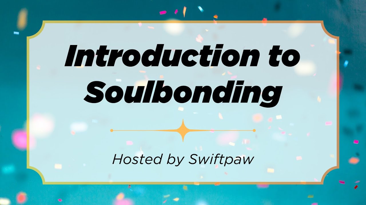 Introduction to Soulbonding - YouTube