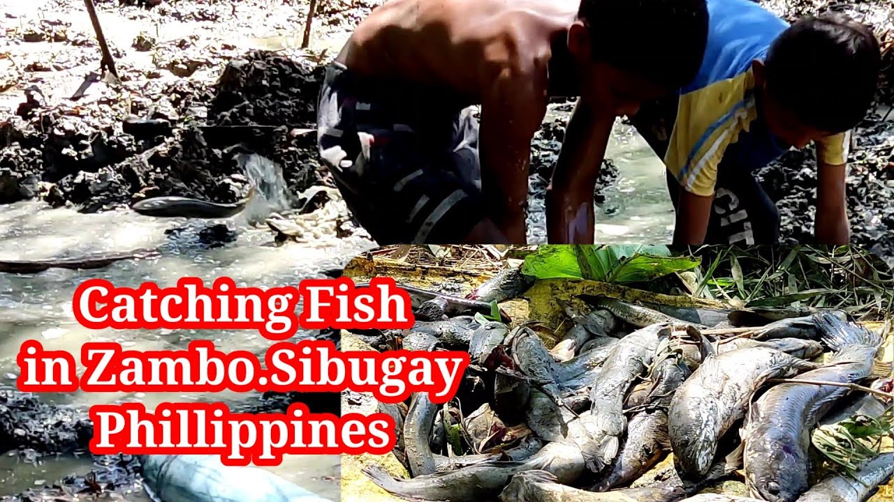 Catching fish(phillippine version) - YouTube