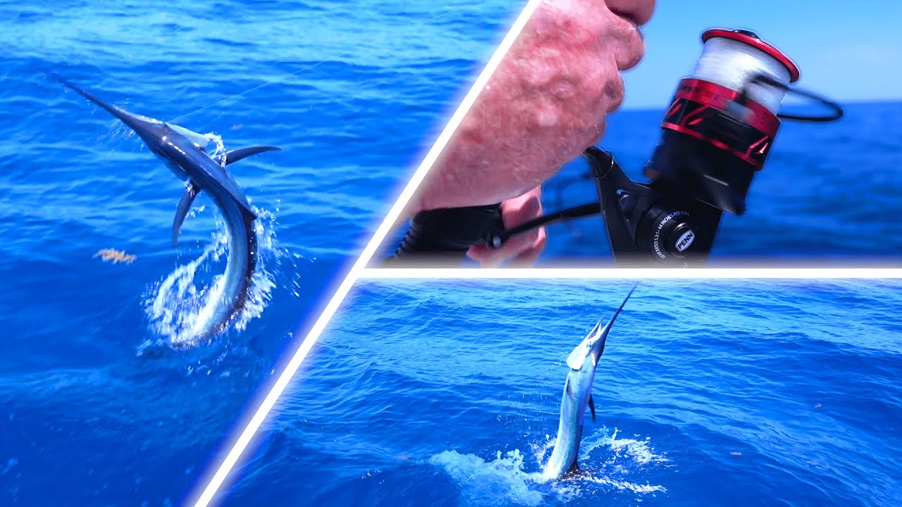 MONSTER SAILFISH In The Florida Keys! (Insane Fight) - YouTube