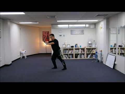 Wu style Tai chi chuan - 108 movements standard form - 04 Grasp Bird's Tail  攬雀尾