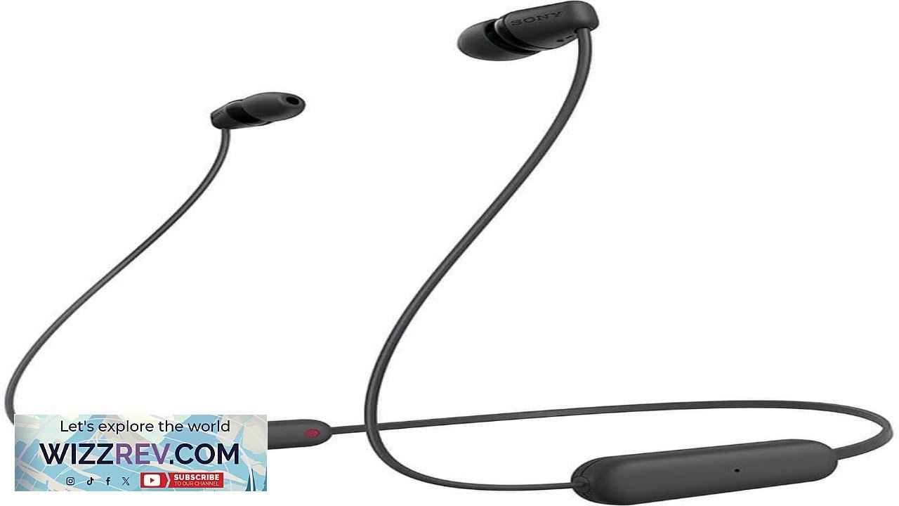 Sony WI-C100 Wireless in-Ear Bluetooth Headphones with Built-in ...