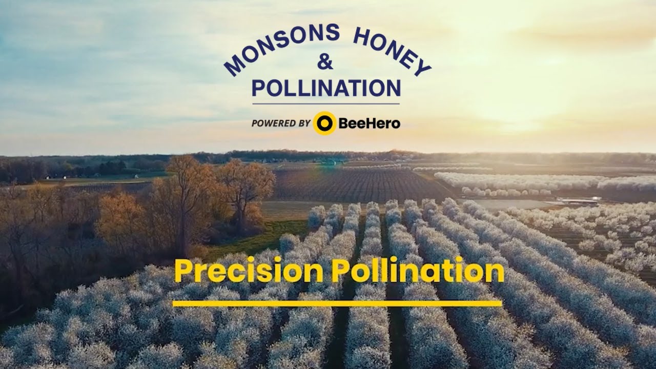BeeHero & Monsons Precision Pollination - YouTube