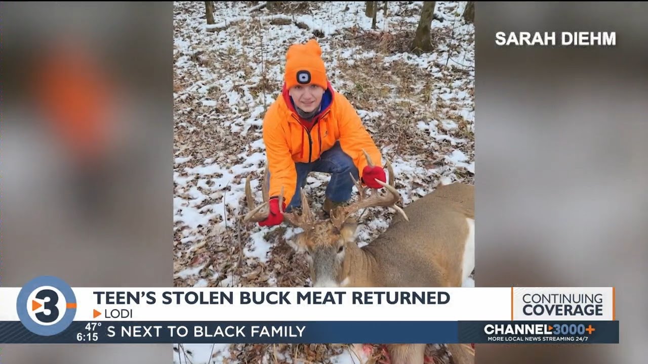 Columbia Co. teen receives meat from stolen 22-point buck trophy buck ...