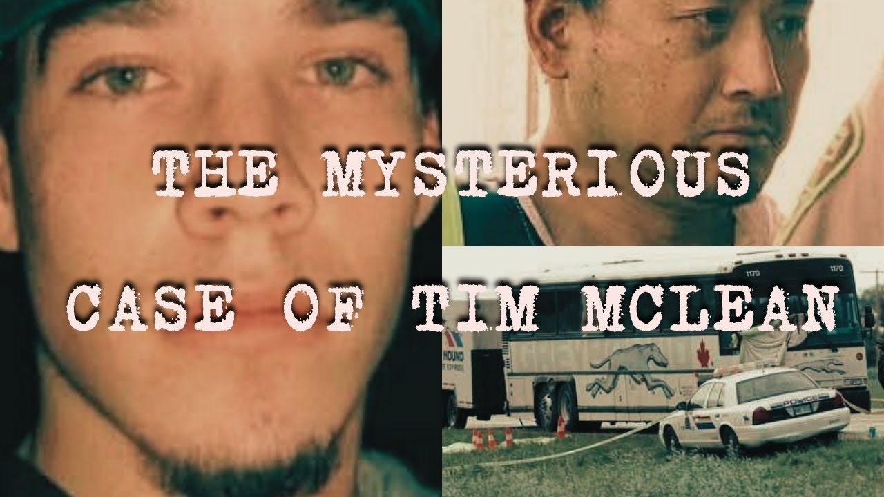 The killing of tim mclean - gasthair