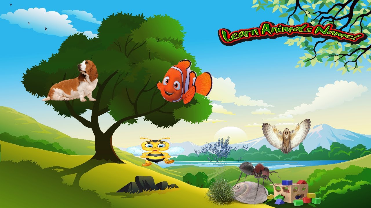 Kindergarten Educational Videos for Kids |preschool learning videos ...