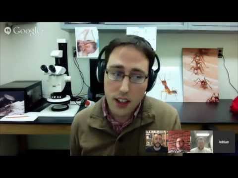 Episode 77 - From Ants To Academics with Dr. Adrian Smith - YouTube