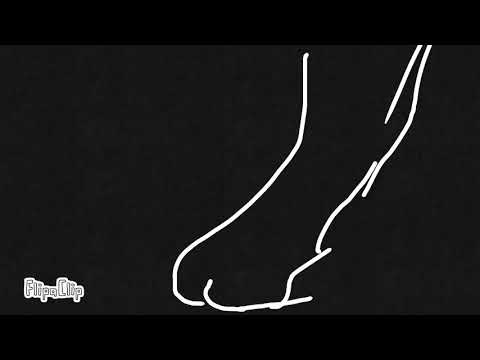 Broken Record MEME (Original by Foxdy XD) - YouTube